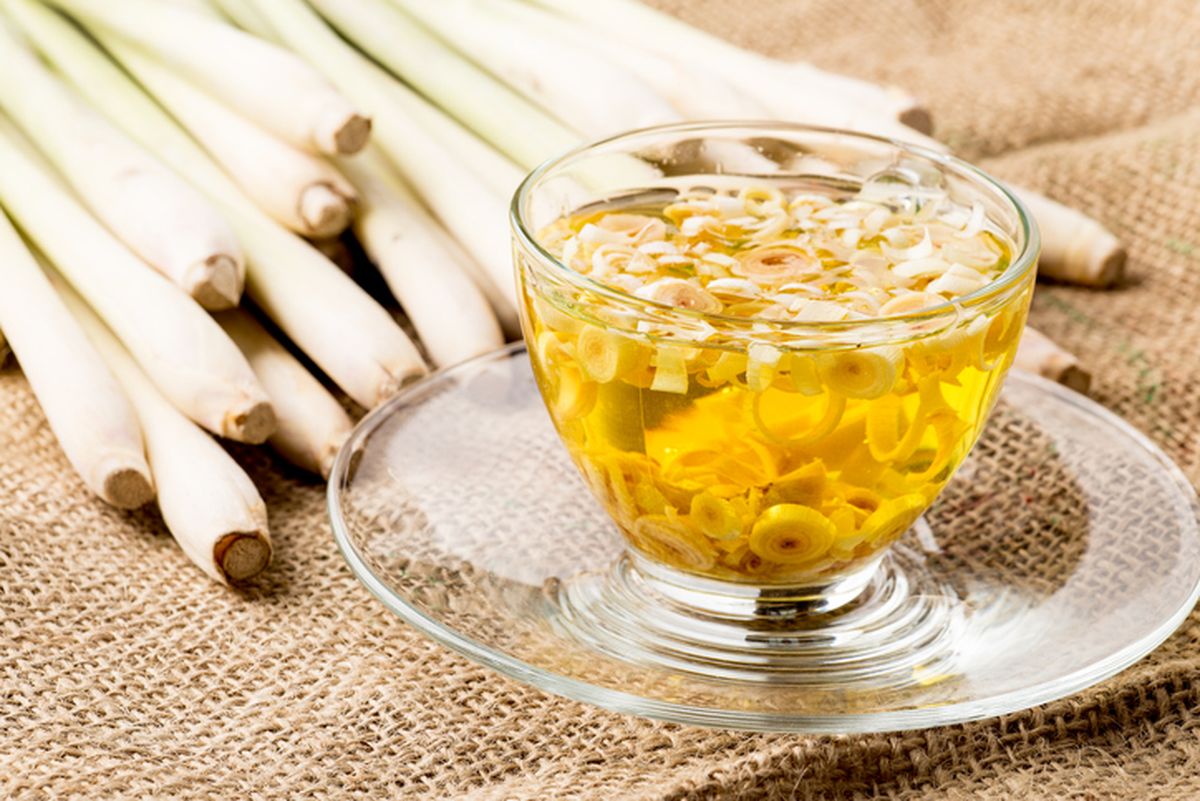 Ragam Manfaat Teh Serai, Herbal yang Bantu Cegah Penyakit - Madaninews.id